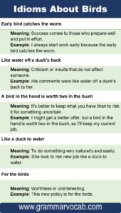 Idioms About Birds with Meaning and Examples - GrammarVocab
