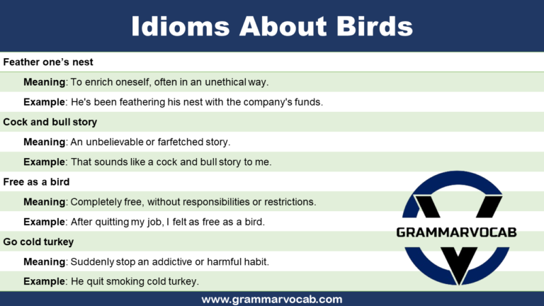 Idioms About Birds with Meaning and Examples - GrammarVocab