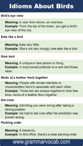 Idioms About Birds with Meaning and Examples - GrammarVocab