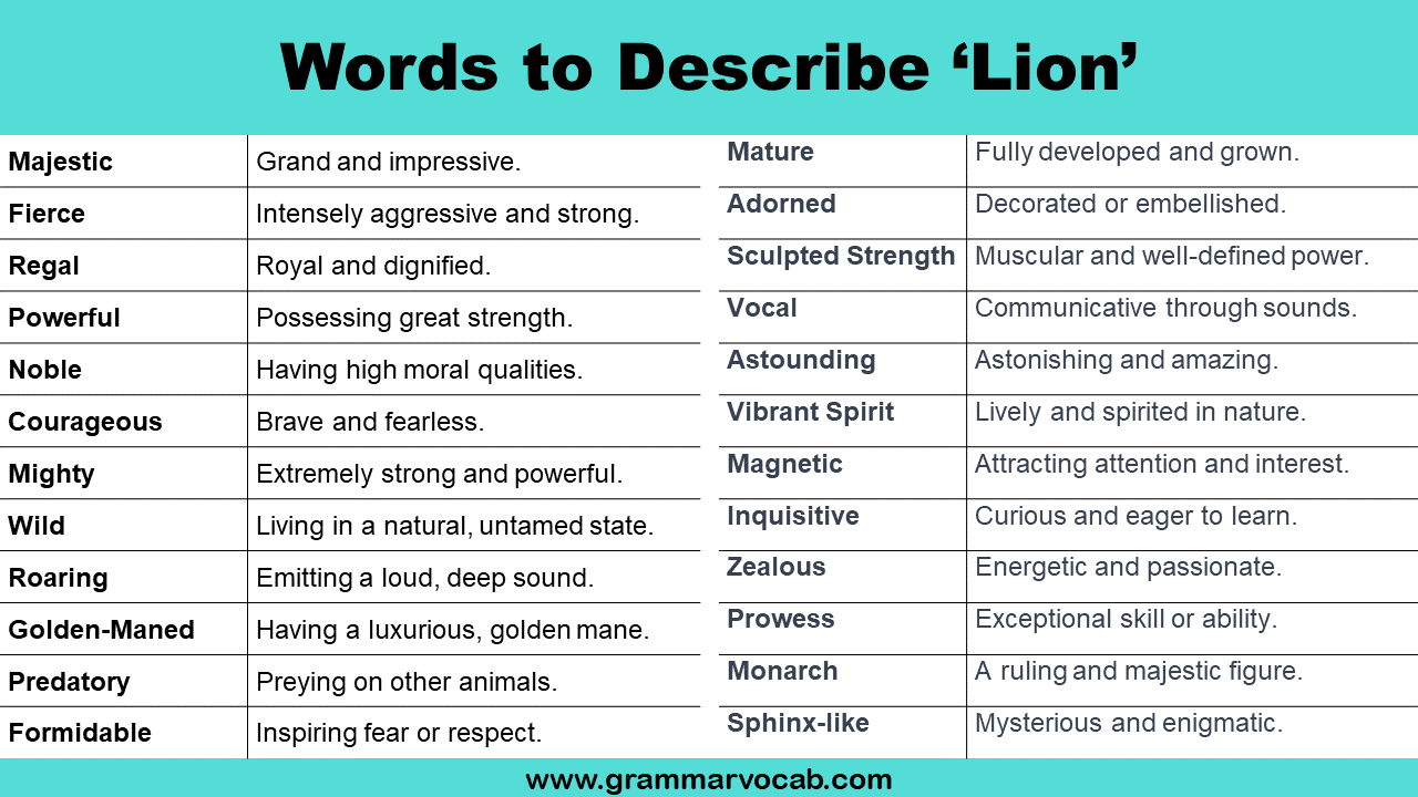 Adjectives: Words To Describe a Lion - GrammarVocab