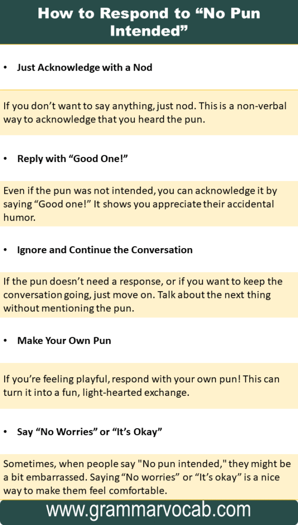 How to Respond to “No Pun Intended” in English - GrammarVocab