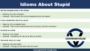 Idioms for Stupid with Meaning and Examples - GrammarVocab
