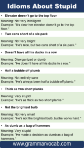 Idioms for Stupid with Meaning and Examples - GrammarVocab