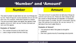 What is the Difference Between ‘Number’ and ‘Amount’? - GrammarVocab