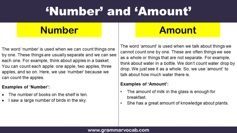 What is the Difference Between ‘Number’ and ‘Amount’? - GrammarVocab